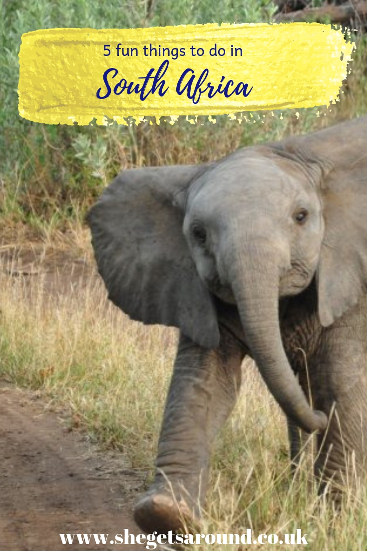 My first solo travel adventure - 5 fun things to do in South Africa ...
