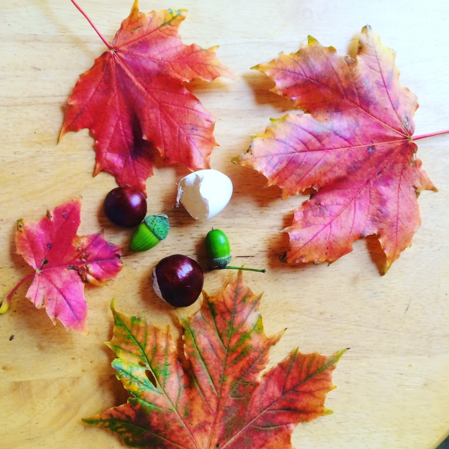 10 Things to Enjoy about Autumn Walks - She Gets Around